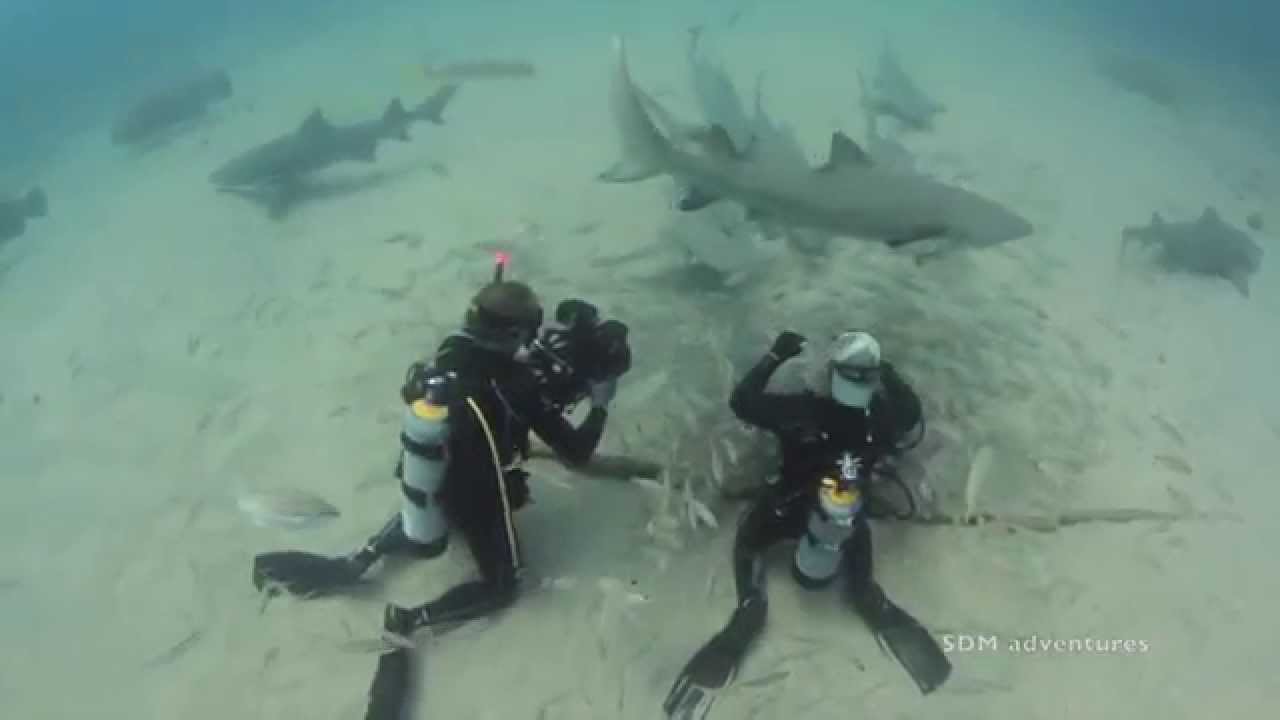 Outdoor Channel Shoot BlueWater Savages - YouTube