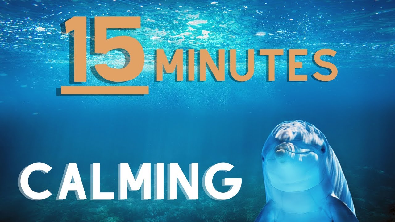 15 Minutes Of Calming Music and Sea Life | Underwater Relaxing Footage ...