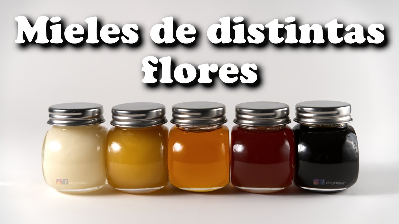 Mieles de distintas flores, dan distintos colores, sabores y ...
