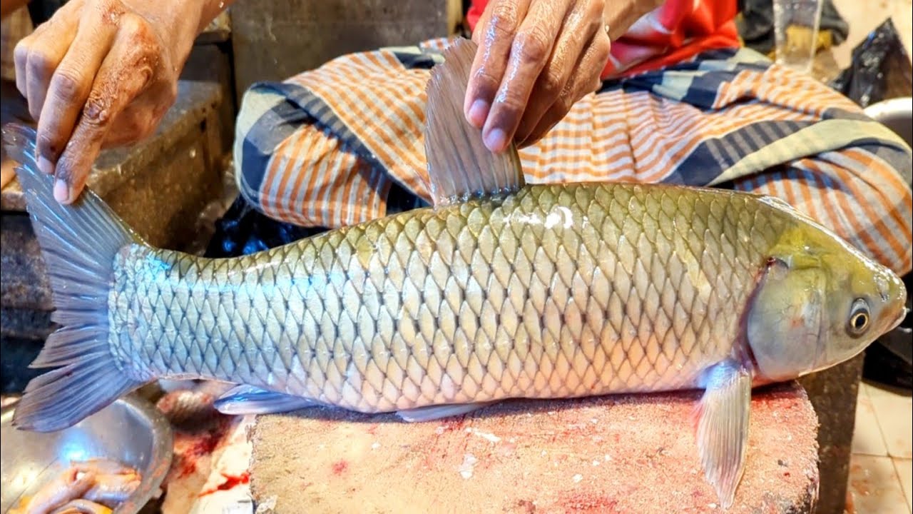 Great Mregal Carp Fish Cutting Skills Live In Bangladesh Fish Market ...