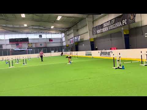 Cheeky MAS JWW 3-9 - YouTube