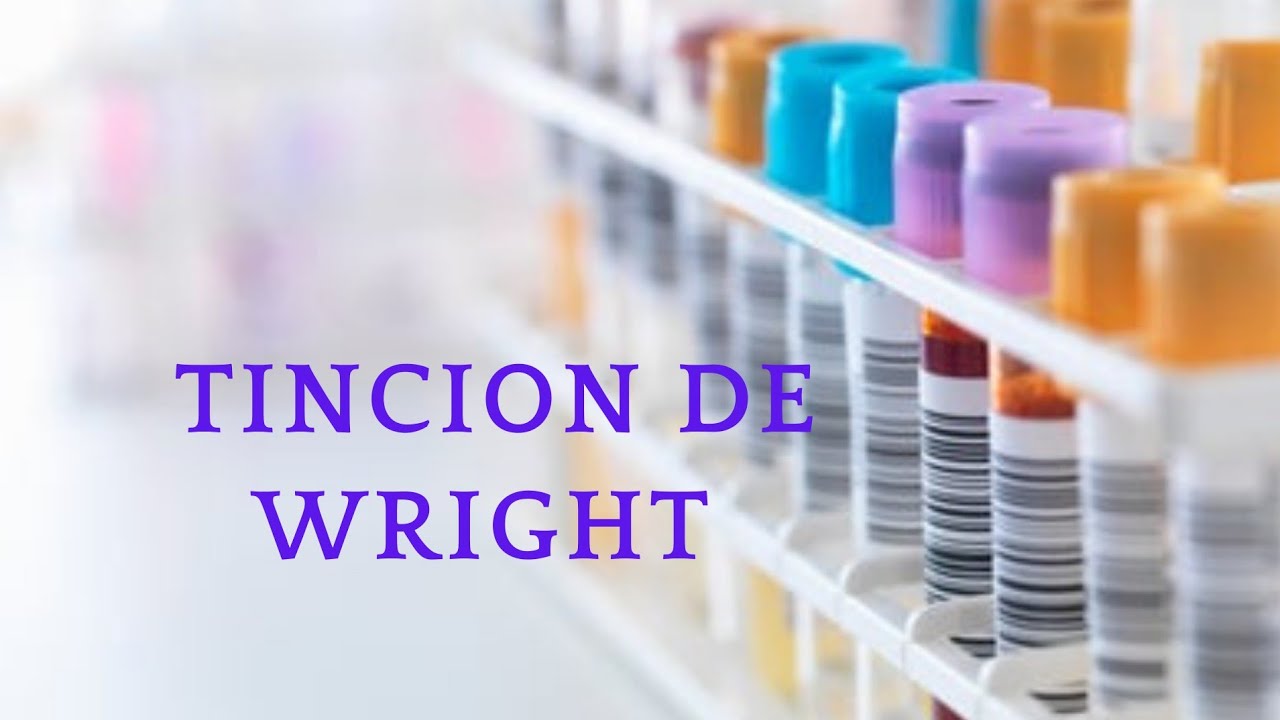 Tinción de Wright: preparación, principio, procedimiento - YouTube