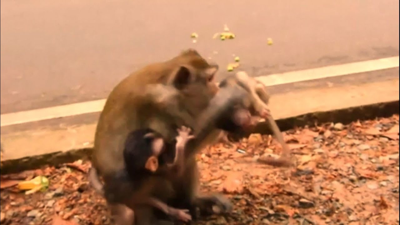 Oh My Lord! Anna got very bad mood & mad at BB Tilly cruelly/ So much ...