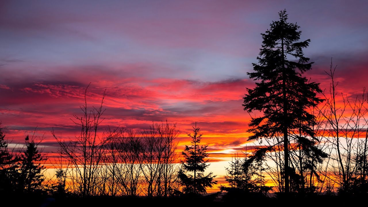 Beautiful red sunset light | Timelapse (4K) - YouTube