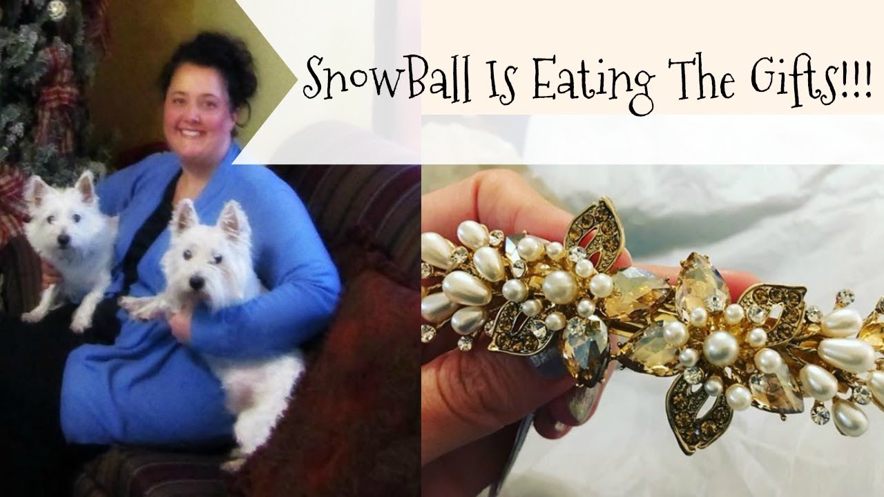 Snowball Is Eating The Gifts!! Vlogmas Day 19 - YouTube