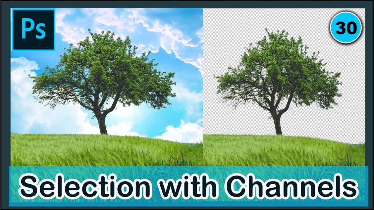 Select Tree using Channels in Adobe Photoshop Class 30. - YouTube