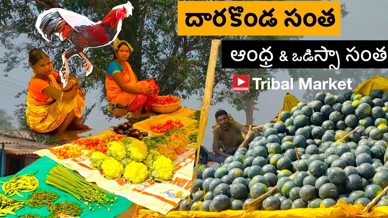 ఆంధ్ర & ఒడిస్సా - దారకొండ గిరిజన సంత | ఆంధ్ర & ఒడిశా మధ్యలో జరిగే సంత ...