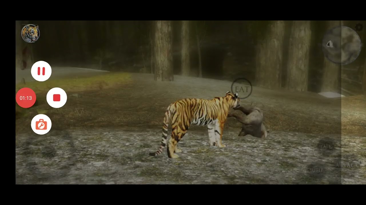 Life of a Bengal Tiger. Ultimate Tiger Simulator 2 - YouTube