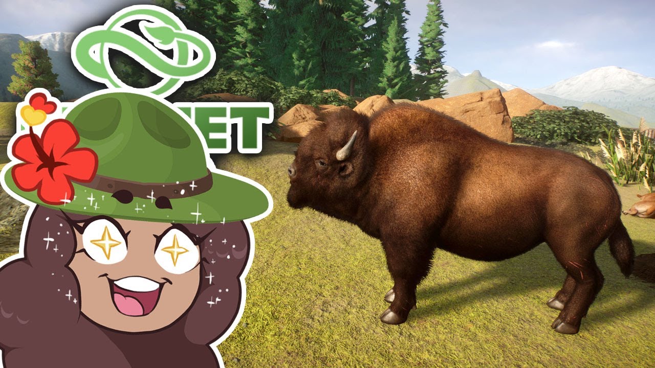 Expanding Our WILD BISON Valley?! 🐺 Planet Zoo: Redwood Park • #8 - YouTube