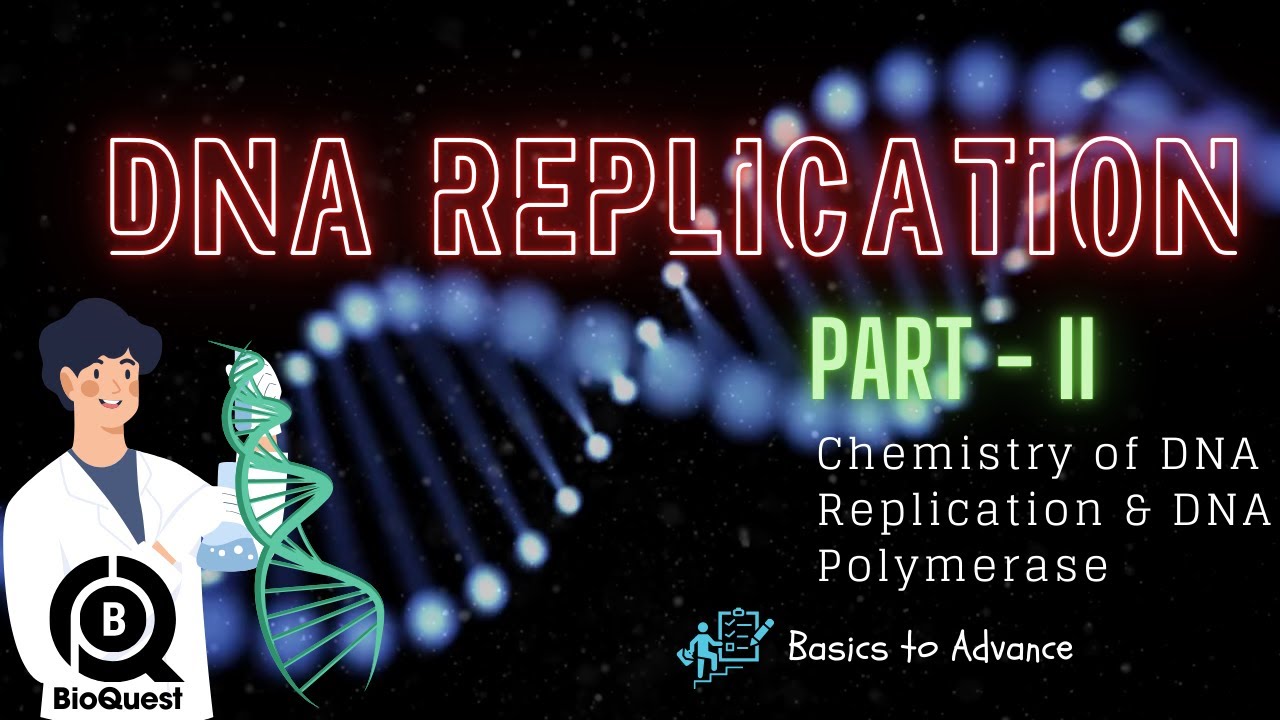 Primer: Template Junction, DNA Polymerase: Structure & Its Domains ...