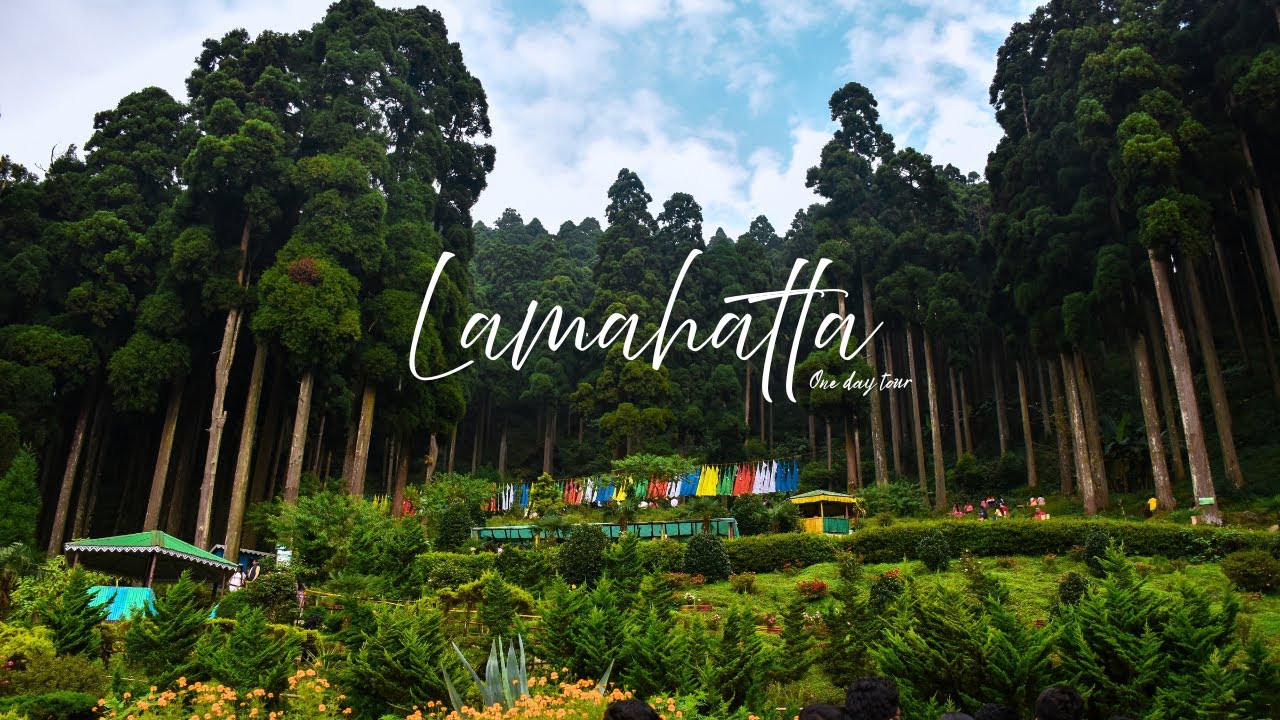 Lamahatta Tour Plan | লামাহাটা ভ্রমণ | Lamahatta Eco Park | Lamahata ...