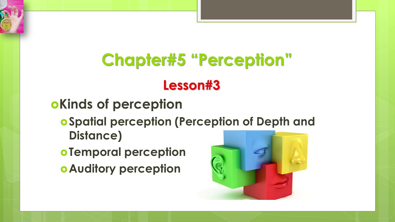 Depth perception | In English Language | by Dear Knowledge - YouTube