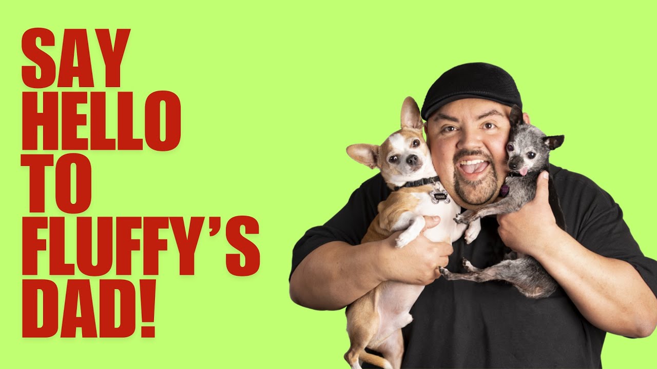 Say Hello To Fluffy's Dad - YouTube