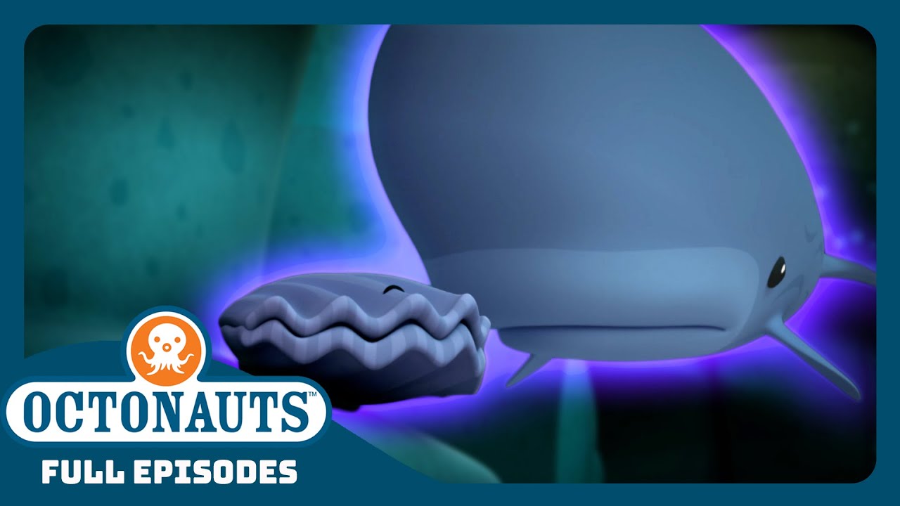@Octonauts - 😱 The Scared Sperm Whale 🐋 | Season 2 | Full Episodes ...