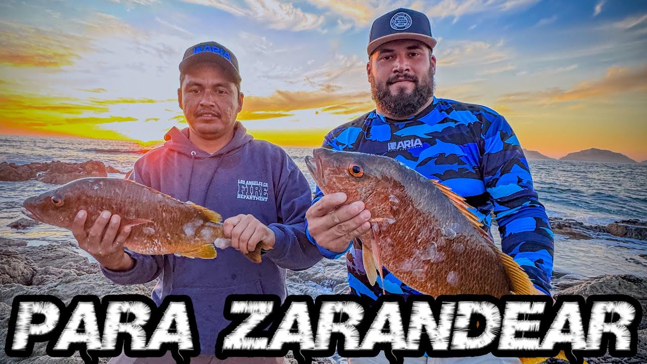 ASÍ SE PESCAN LOS PARGOS | PESCA CON TWITCH BAIT Y BAILARINA - YouTube