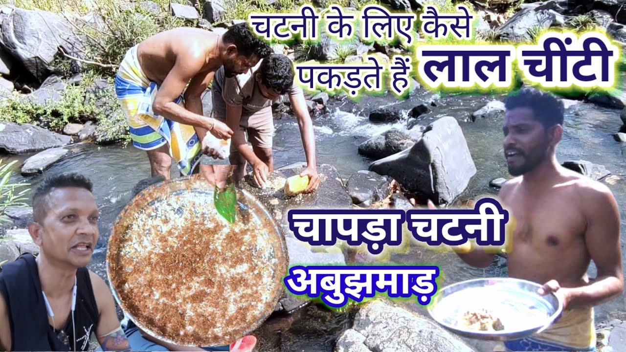 बस्तर का प्रसिद्ध लाल चींटी की चटनी। चापड़ा चटनी।आइए जानते हैं इसके ...