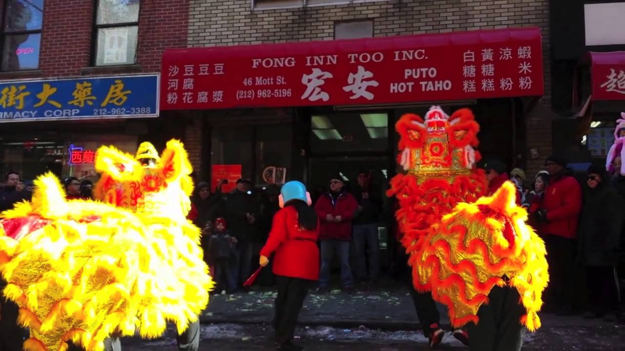 Southern Praying Mantis 2015 - YouTube