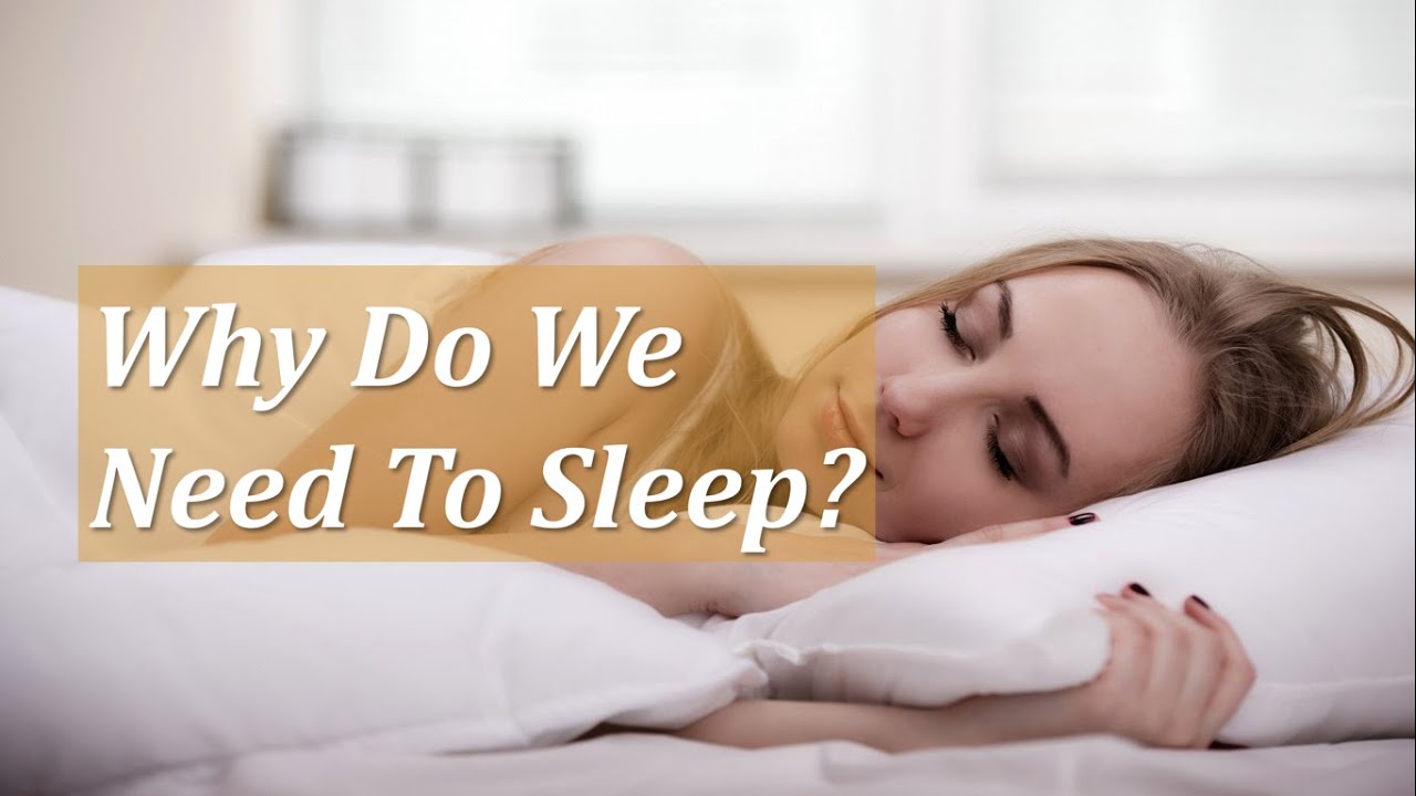 Why do we sleep? || How sleep works? || What happens when we sleep ...