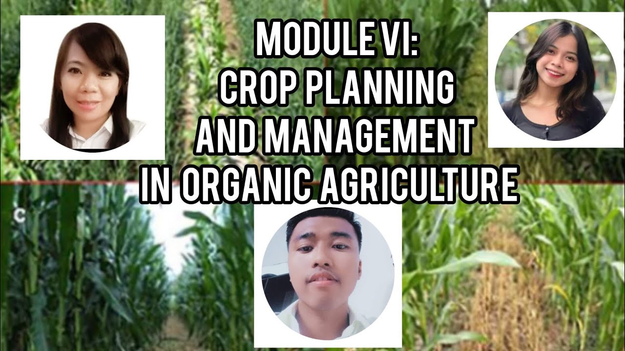 Module VI: Crop Planning and Management in Organic Agriculture - YouTube