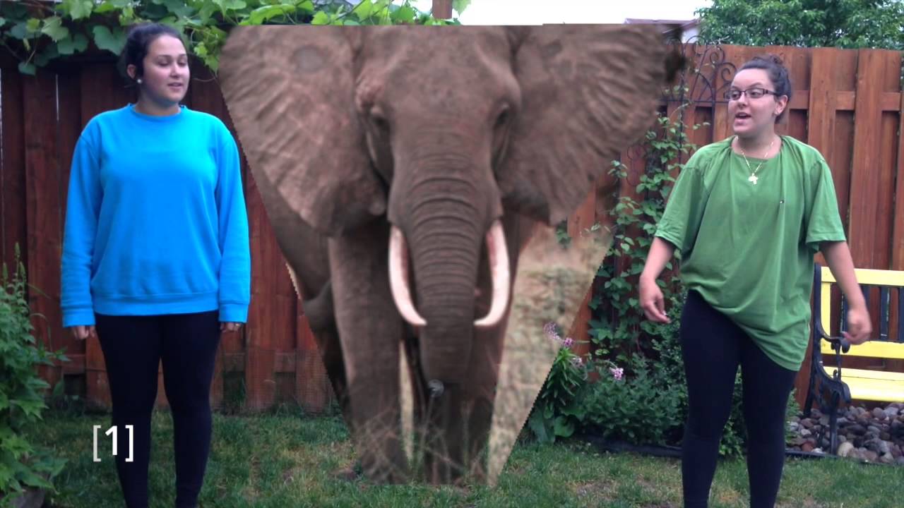 ZOBOOMAFOO 2.0 - YouTube