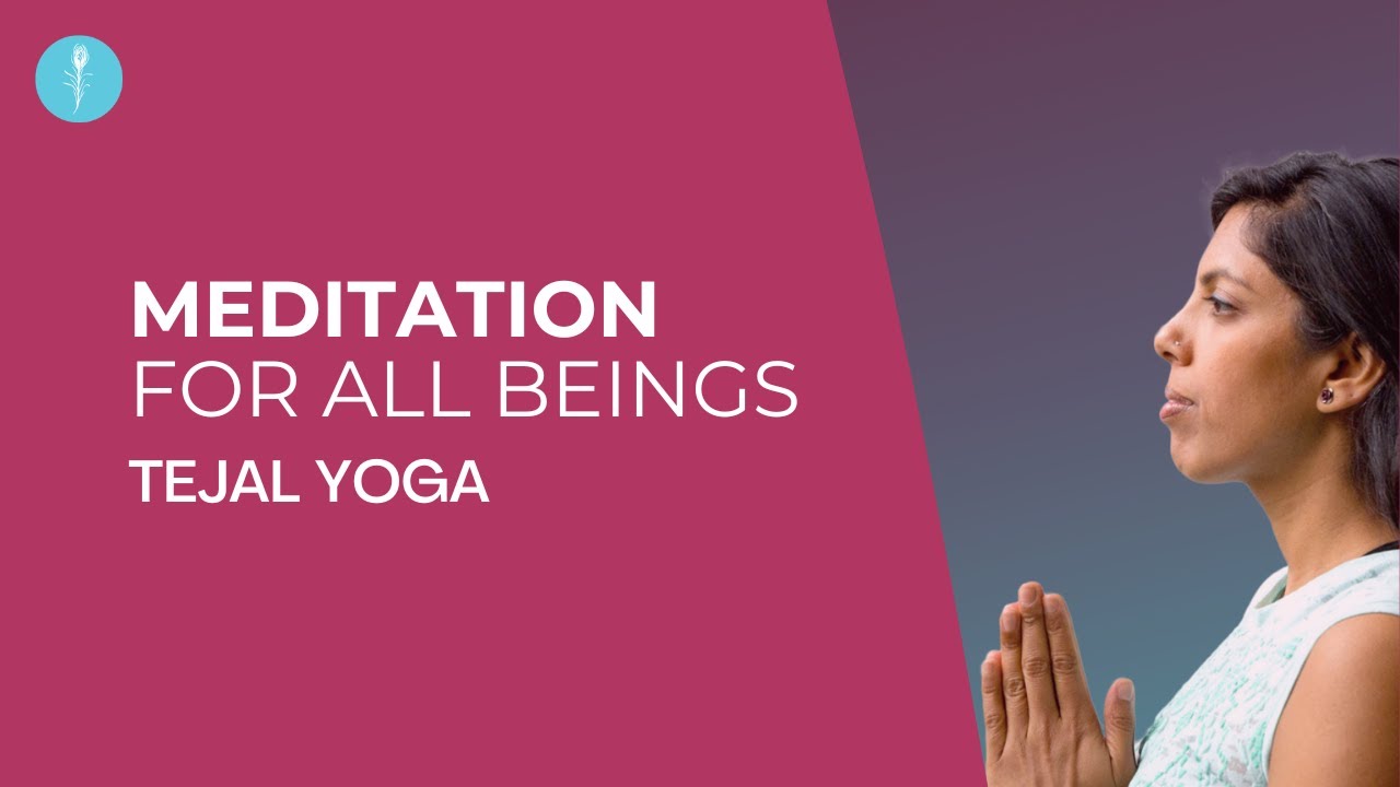 FREE Meditation for All Beings - YouTube