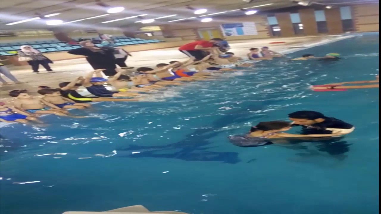 Dolphin Academy - YouTube