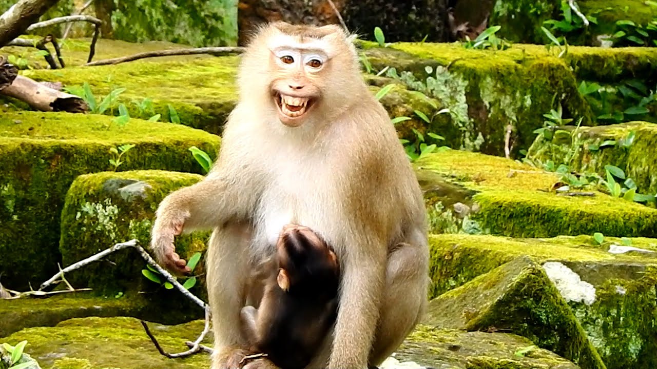 Rose always cries without any reasons & that is her daily habit, Brady ...