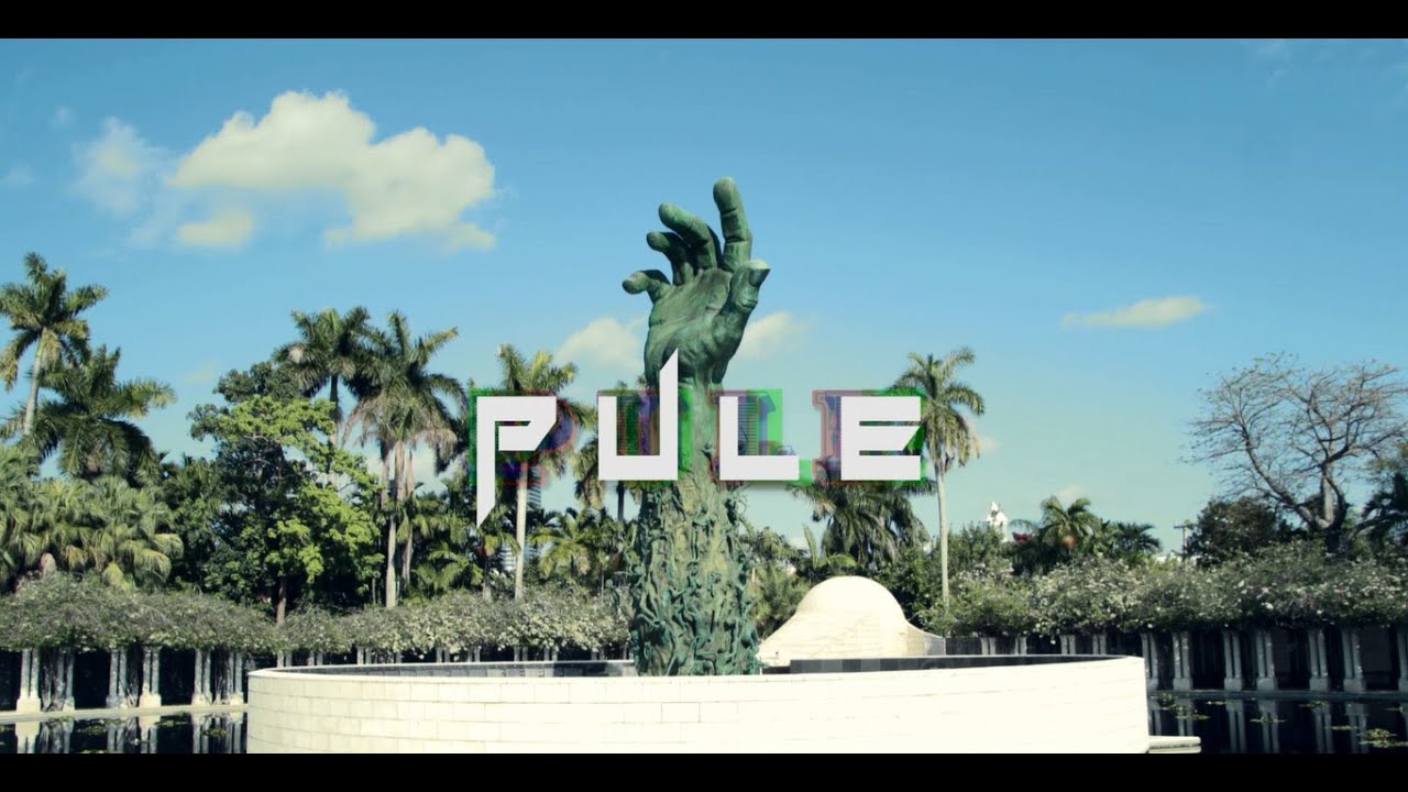 8. PULE - Dollars and Sense ft. BuckieBlitz - YouTube