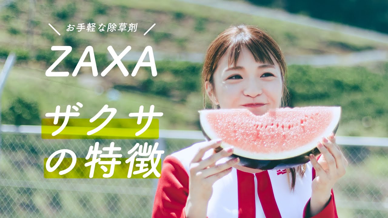 No.3｜ZAXAの特徴 - YouTube