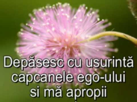 mesaje pozitive ana - YouTube