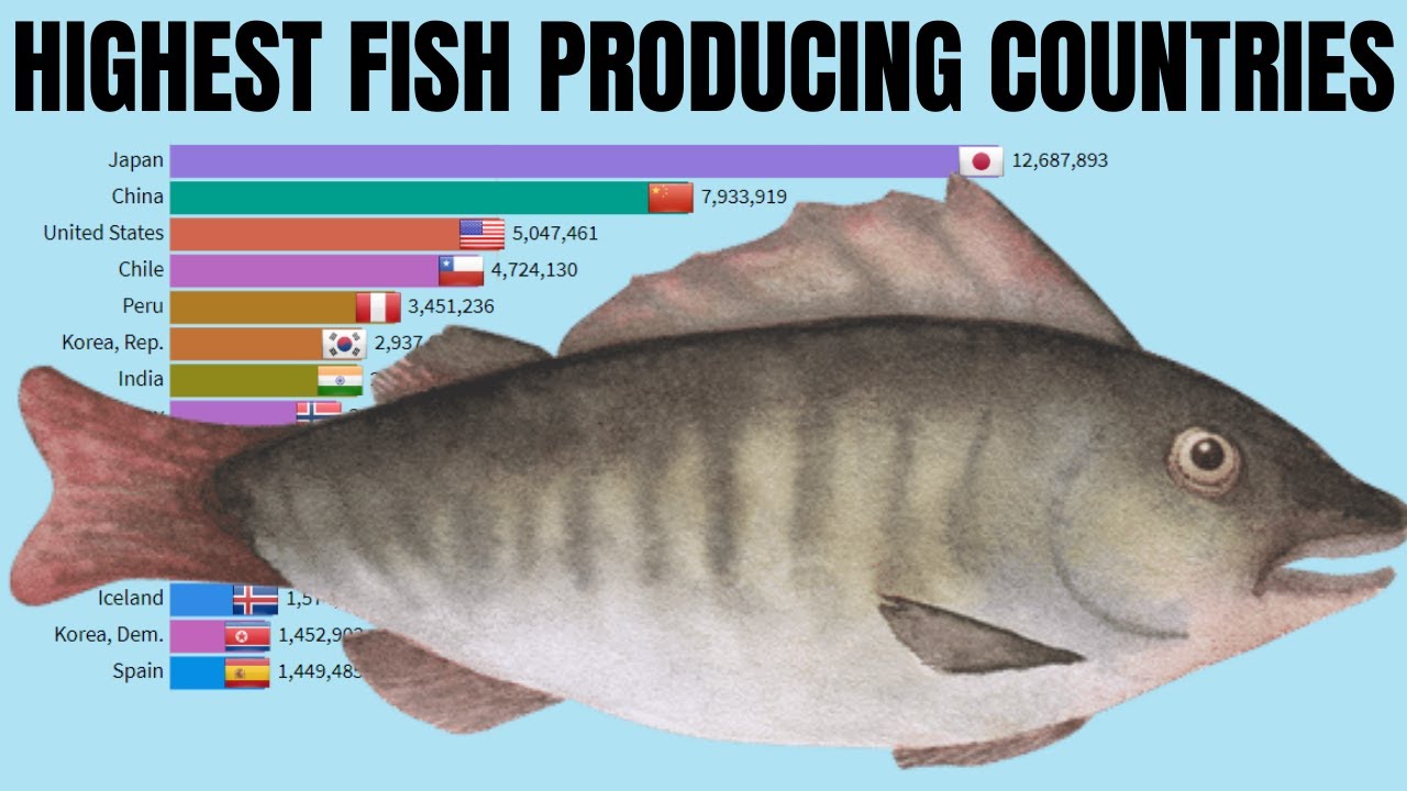 Countries with highest fish production - Highest fish producing ...