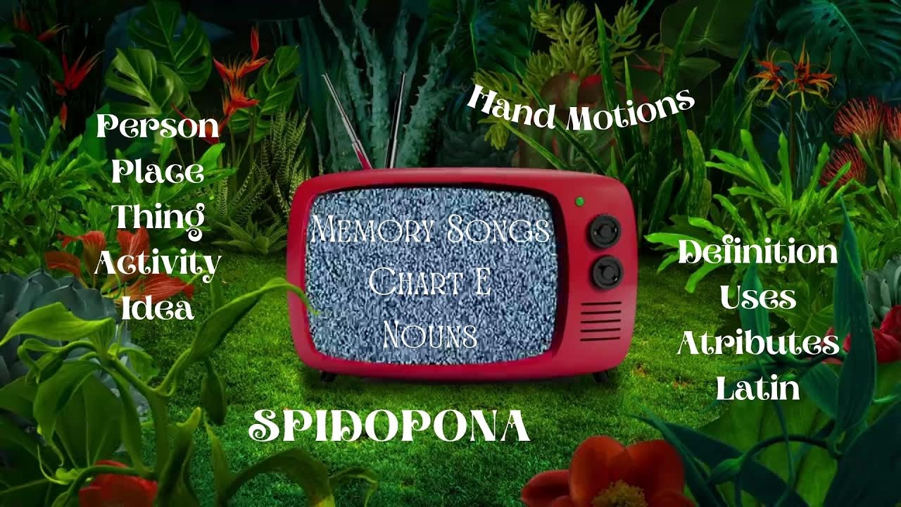 CC Week 3 // Essentials // Chart E Nouns Memory Work #homeschooling #cc ...