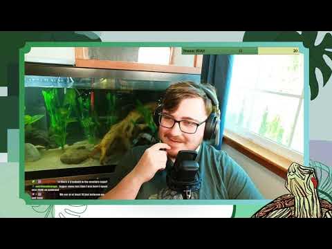 🐢 IT'S PEANUTS BIRTHDAY! 🐢 [SAY HAPPY BDAY TO MY TURTLE!] | 18+ | !BDAY ...