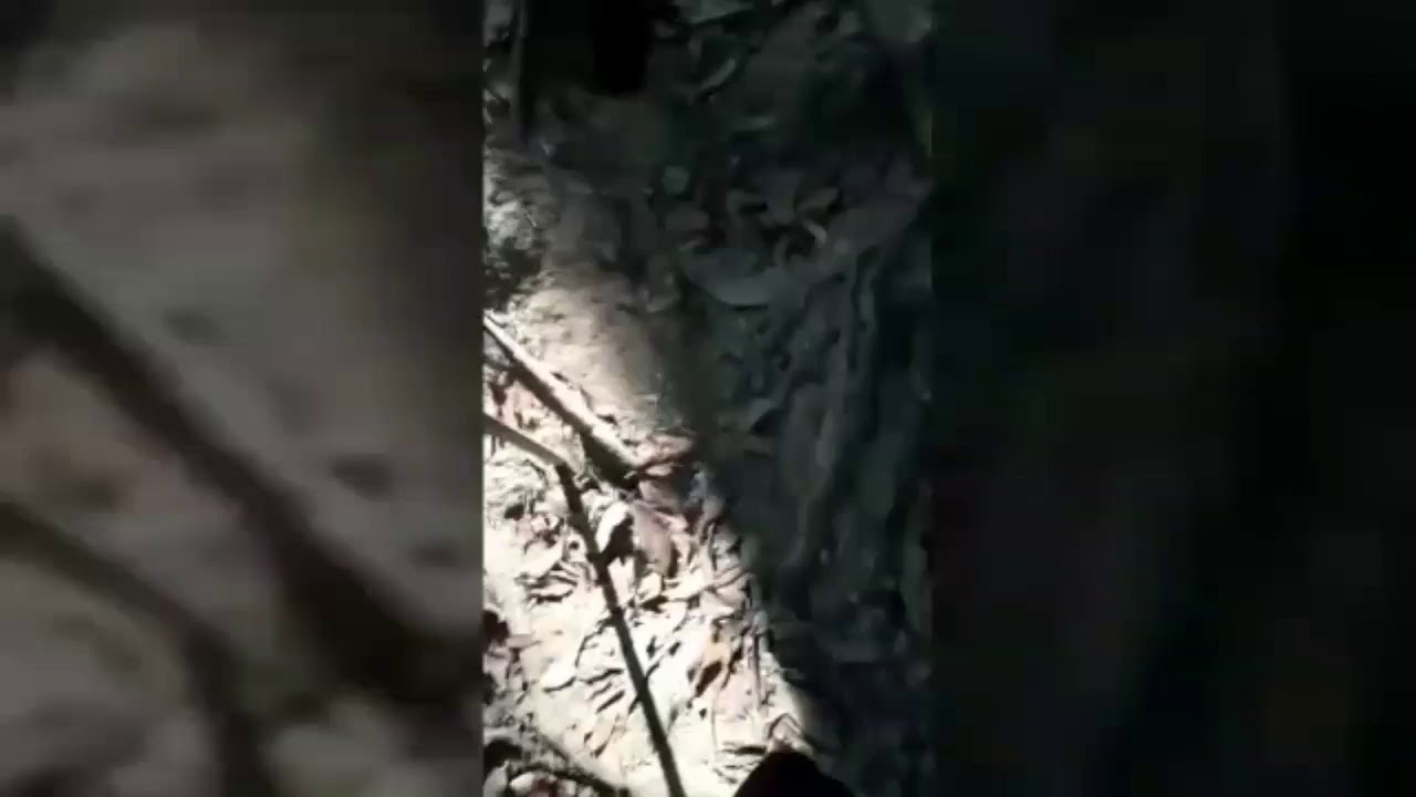 Hiking Gunung Semanggol - YouTube