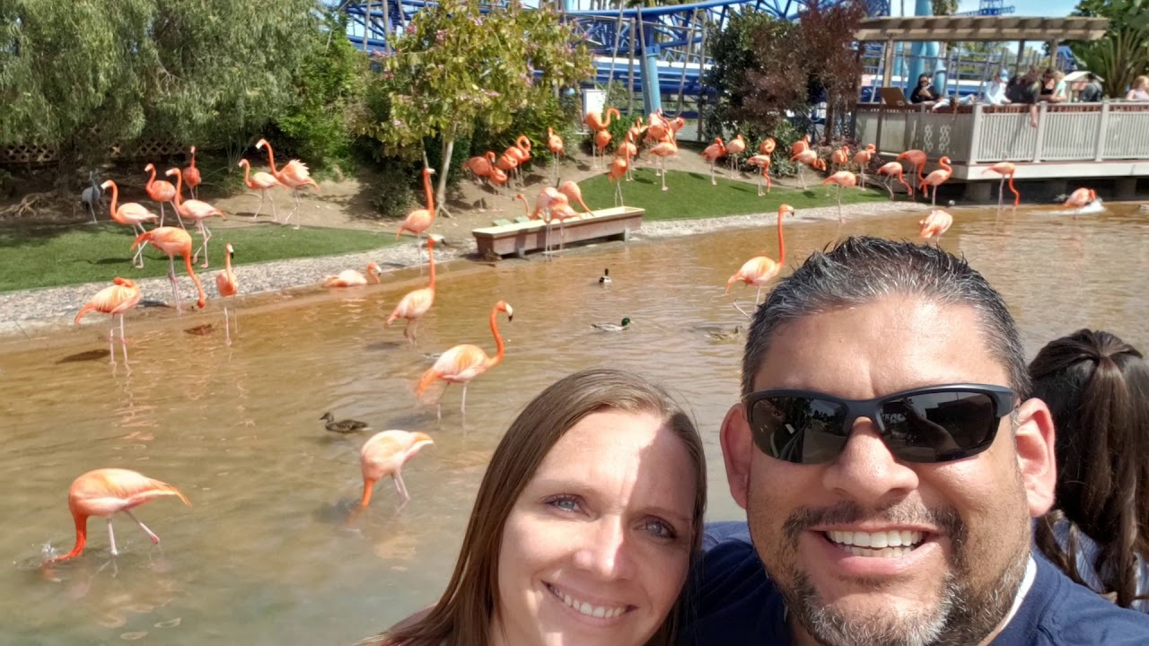 Our Spring Break 2019! California!!! - YouTube