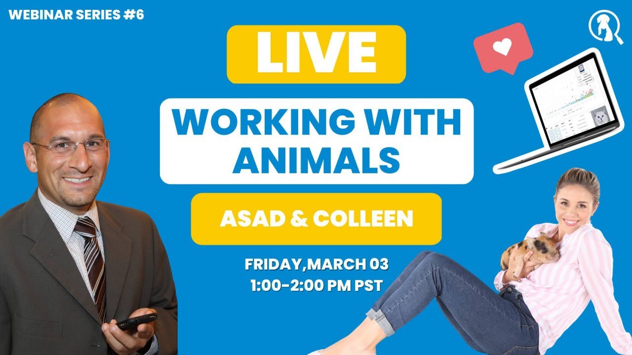 What it's like working with Animal Talent in the Pet Industry | Pets on ...