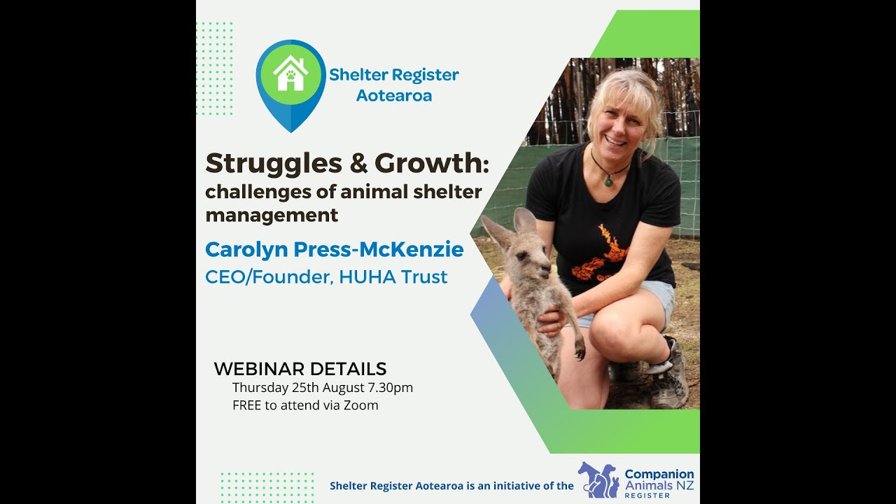 Shelter Webinar - Struggles & Growth by Carolyn Press-McKenzie - YouTube