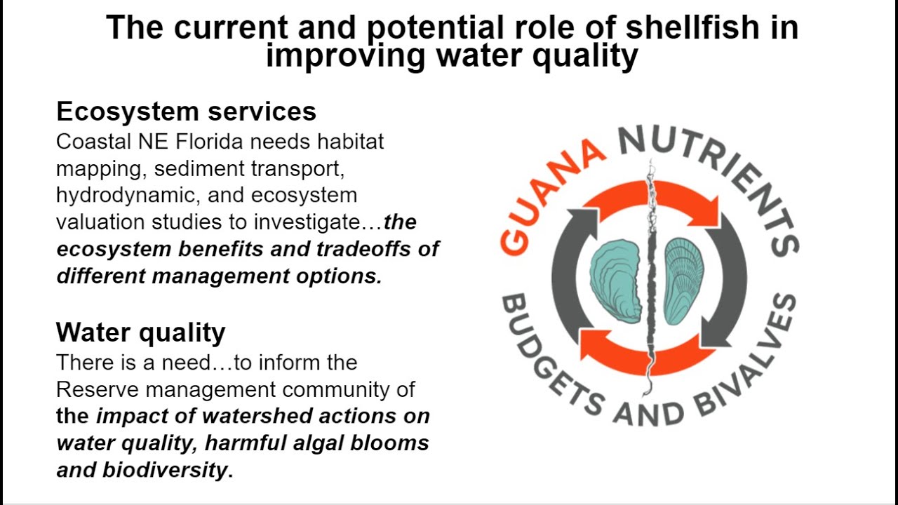 Assessing the Current and Potential Role of Shellfish for Improving ...