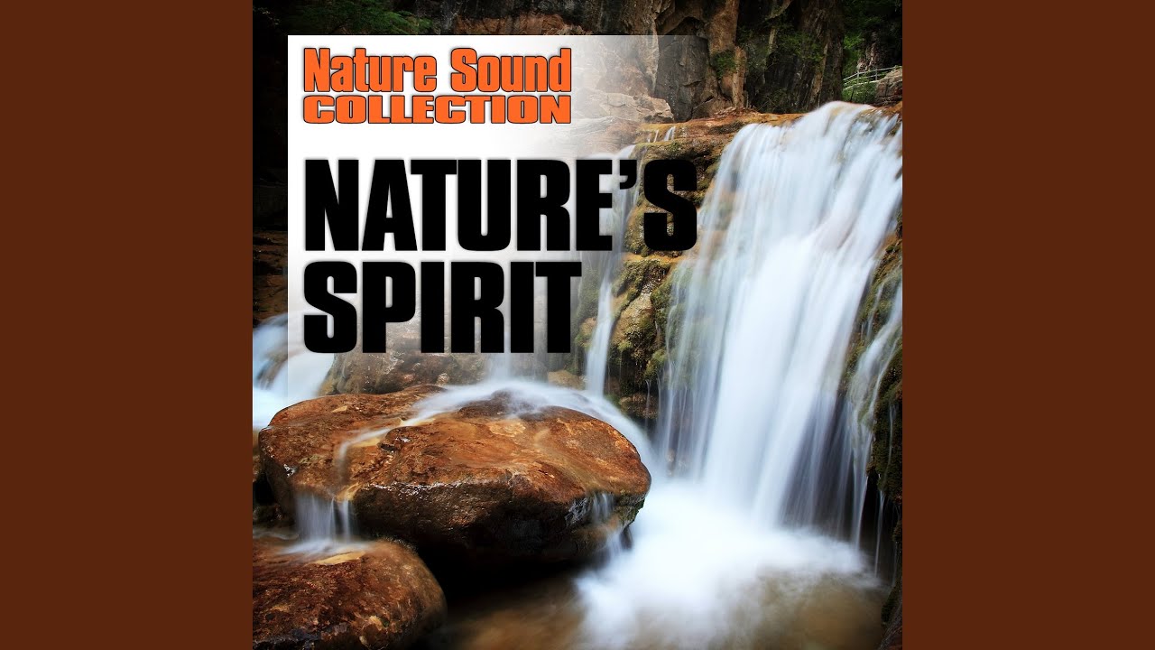 Waterfall and Small Stream in a Cave - YouTube