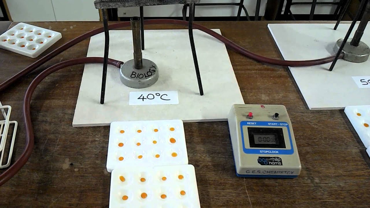 Effect of temperature on digestion of starch by amylase - YouTube