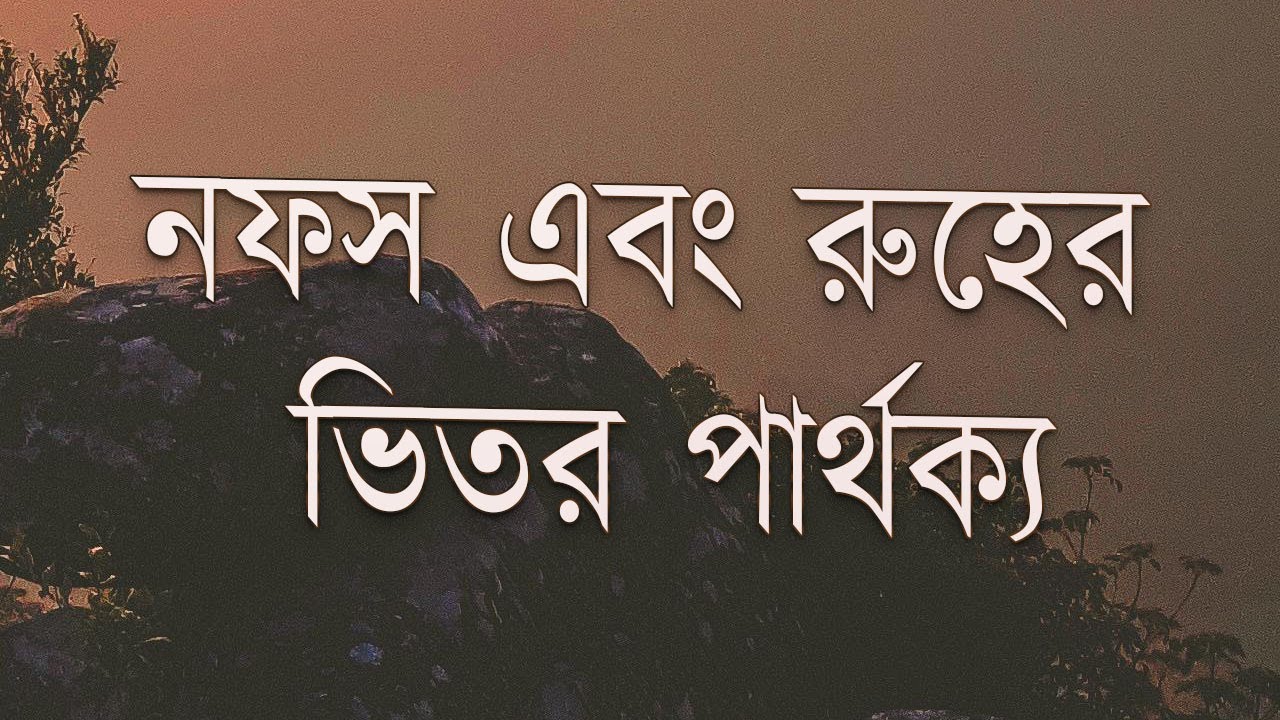 নফস এবং রুহ এর ভিতরে পার্থক্য কি? What difference between the soul and ...