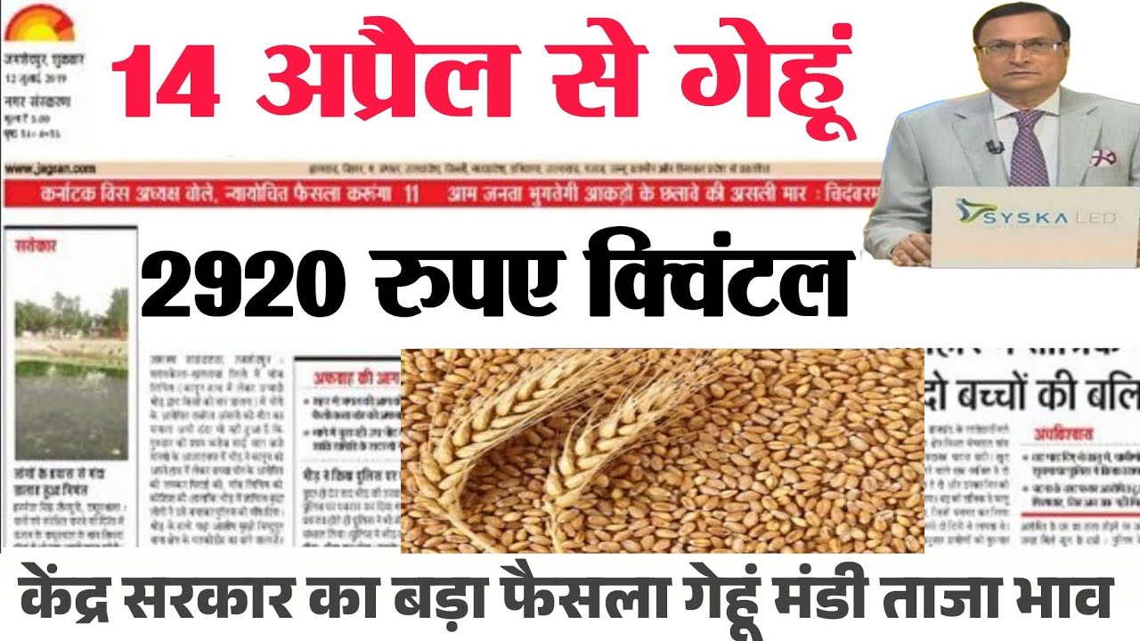 गेहूं मंडी ताजा भाव| गेहूं किसानों को कृषि मंत्री का तोहफा खुशखबरी|Anaj ...