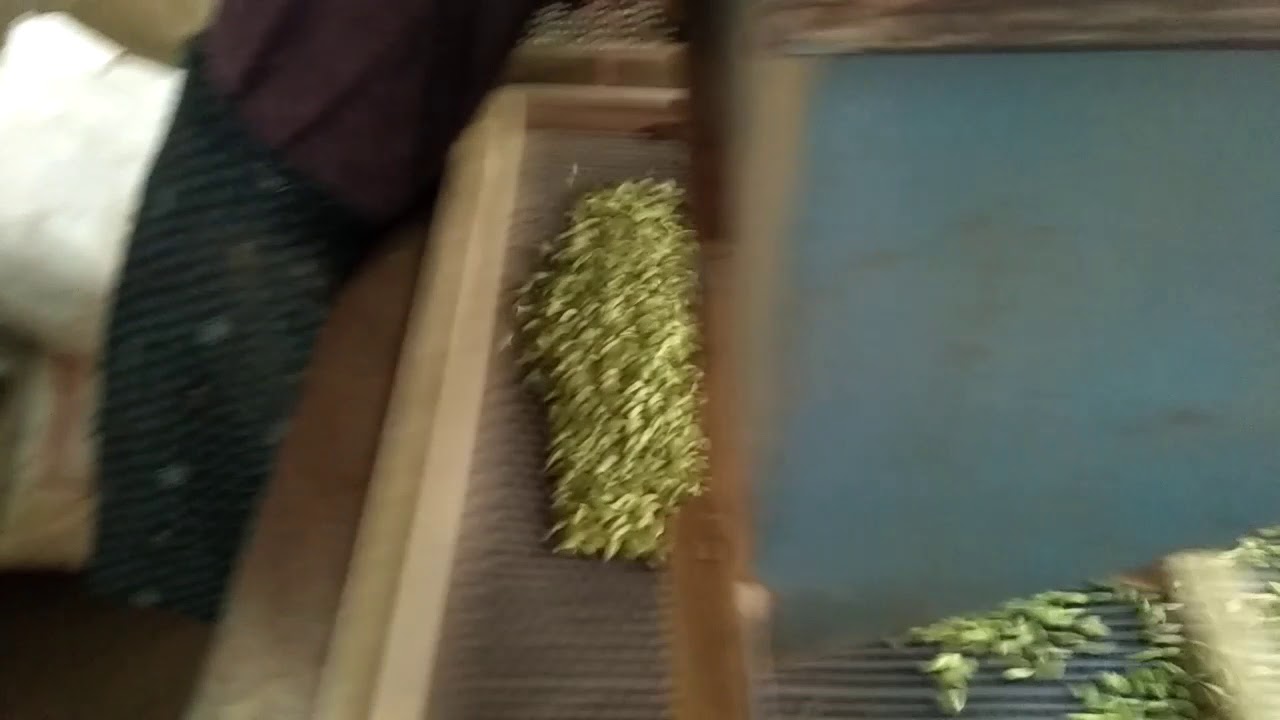 Cardamom grading machine in Kerala. - YouTube