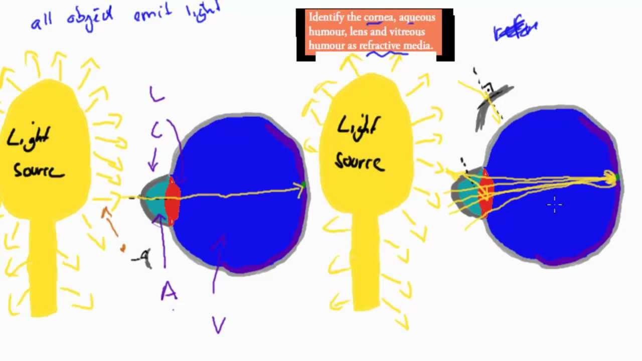 C.3.2. Refractive media in eye (HSC biology) - YouTube