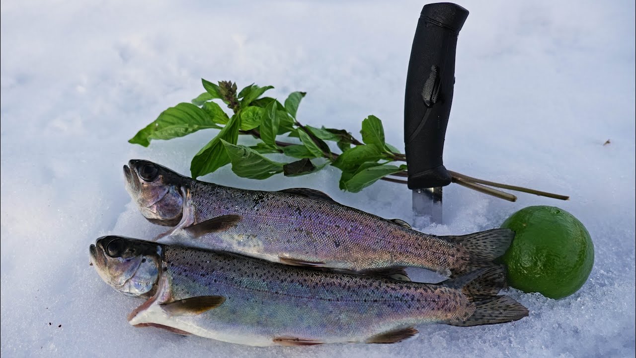 Trout Catch and Cook in the Snow - Overnight Camp - YouTube