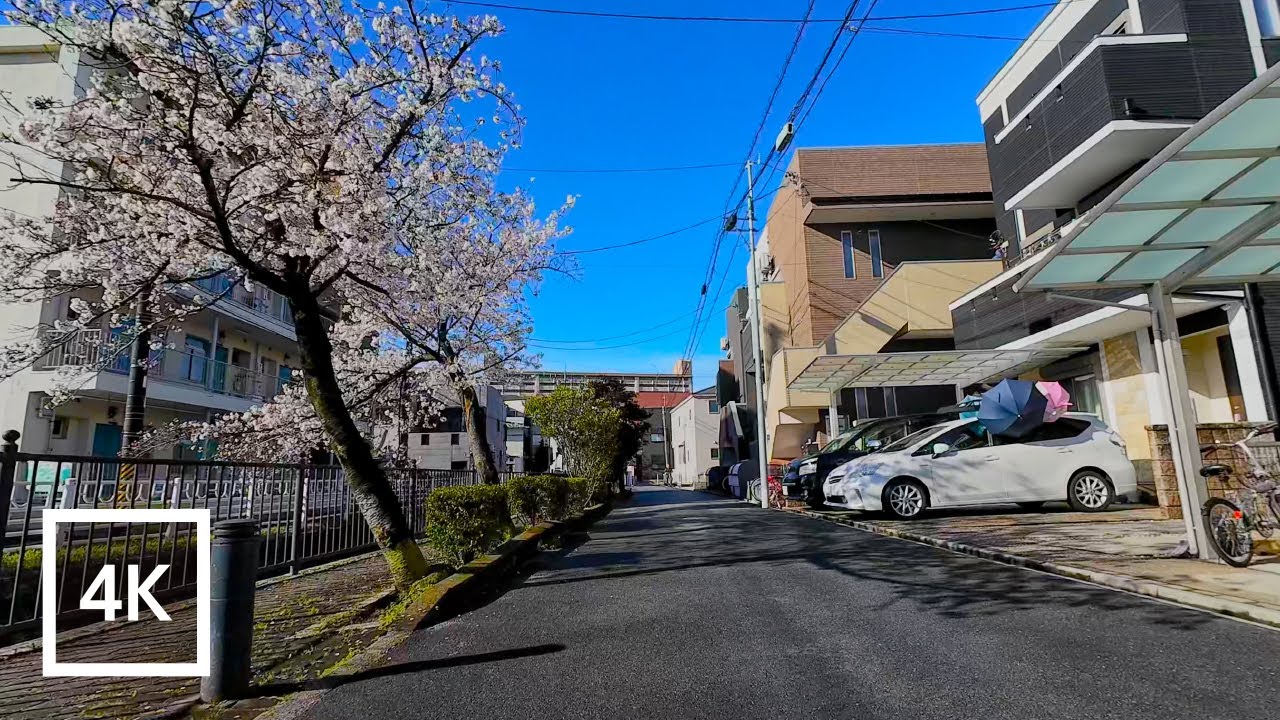 Spring Cycling Adventure: Exploring the Countryside around Nagoya City ...