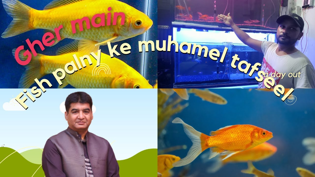Gher Main Fish Palny Ke Mukamel Tafseel |Detail Information about ...