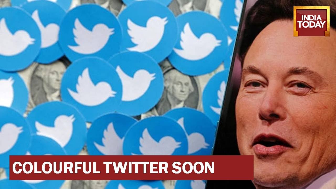 Twitter Will Start Allotting Blue, Grey, & Gold Check Marks To Users ...