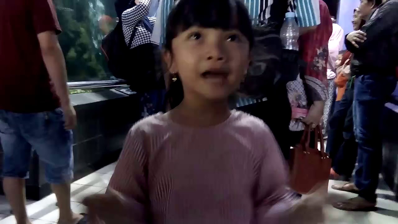 Explore Dunia Air Tawar TMII - YouTube