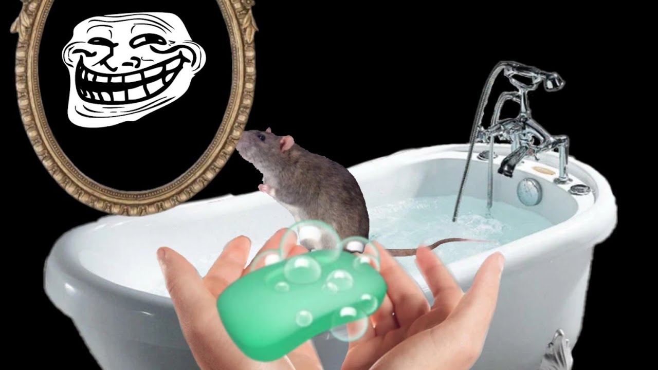 Rat Wash Simulator - YouTube